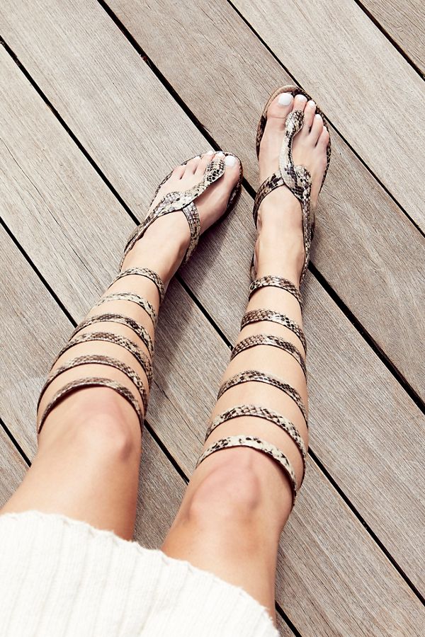Boa Gladiator Sandal | Free People