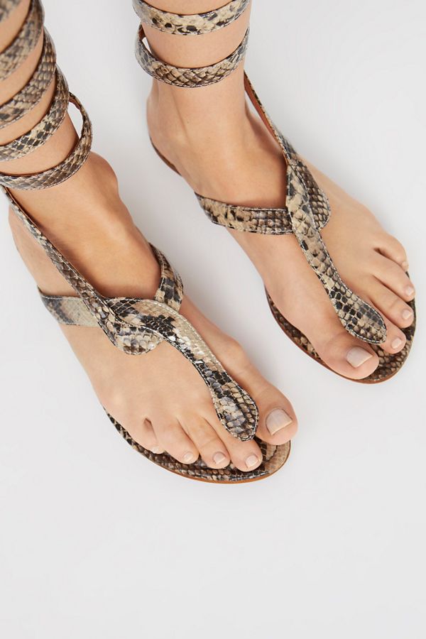 Boa Gladiator Sandal | Free People
