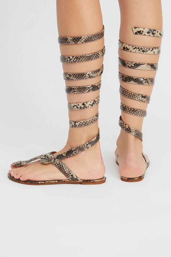 Boa Gladiator Sandal | Free People